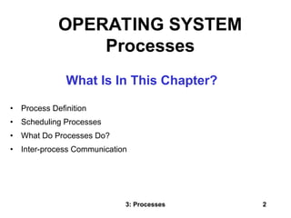 Section03 Processes And Describes A Lot About The Defintion Ppt