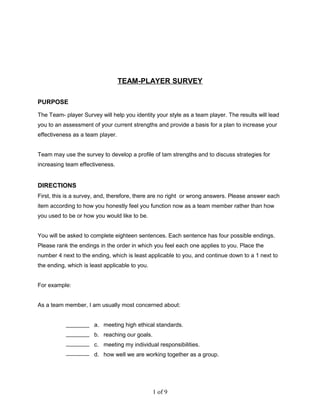 Section 07 exercise team player | DOC