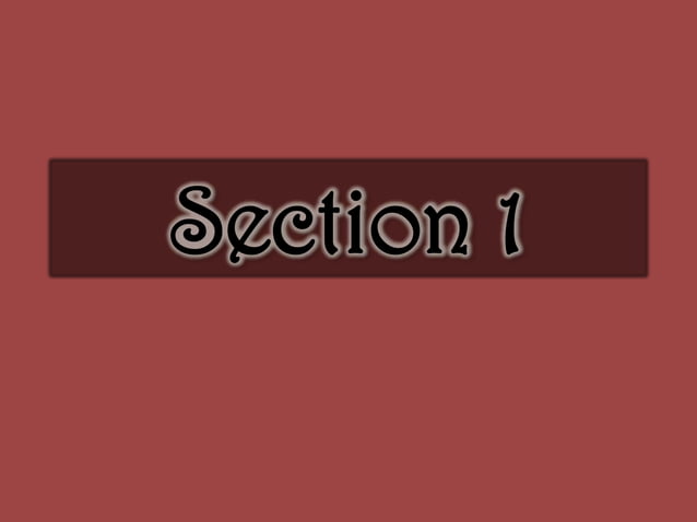 Section 1 | PPT