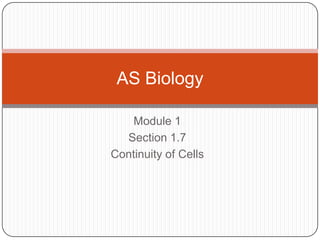 Section 1.7 continuity of cells | PPTX