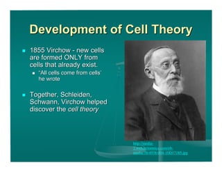 Section 1 cells | PDF