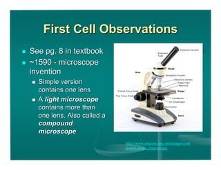 Section 1 cells | PDF