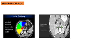 Section 1 CT Abdomen and Pelvis by doctor Aya Ali Taha | PPTX