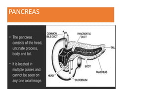 Section 1 CT Abdomen and Pelvis by doctor Aya Ali Taha | PPTX