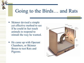 Section 2 operant conditioning | PPT