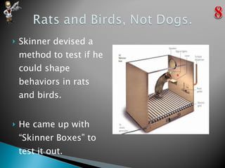Section 2 Operant Conditioning | PPT