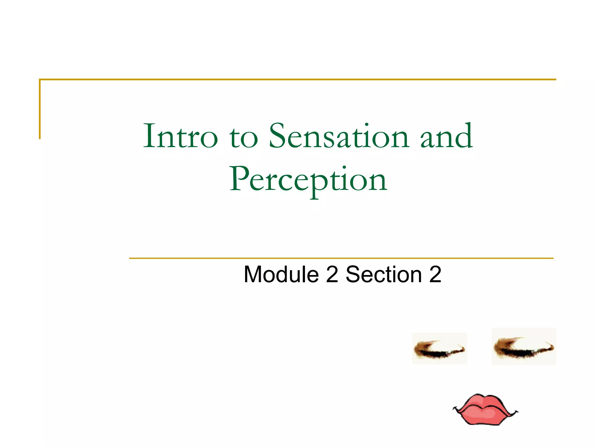 Section 2 Senses And Perception | PPT