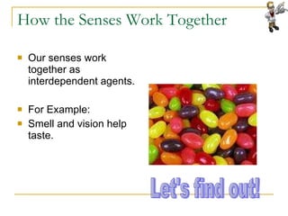 Section 2 Senses And Perception | PPT