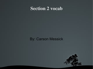 Section 2 vocab | PPT