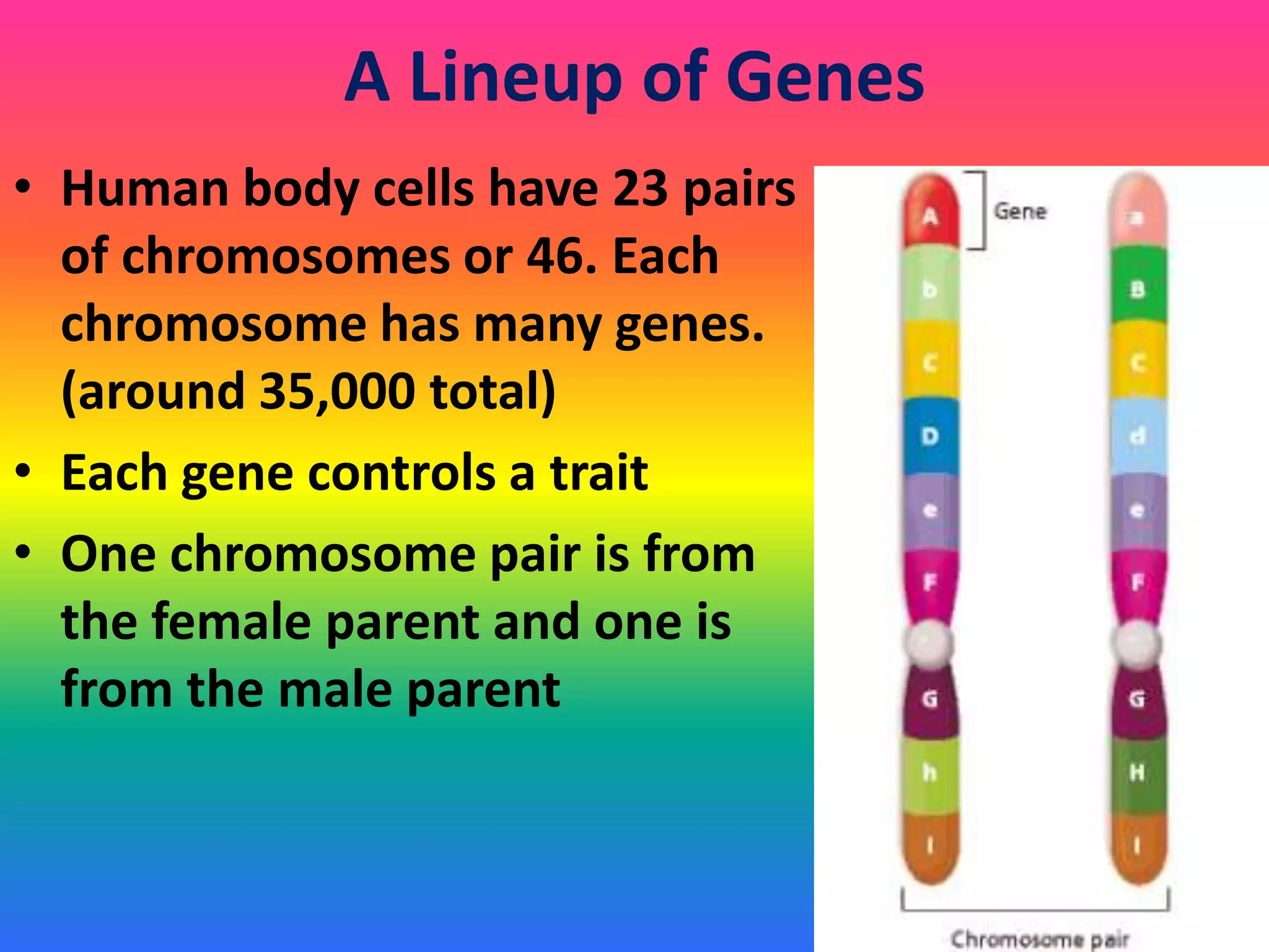 Section 3 the cell and inheritance | PPTX