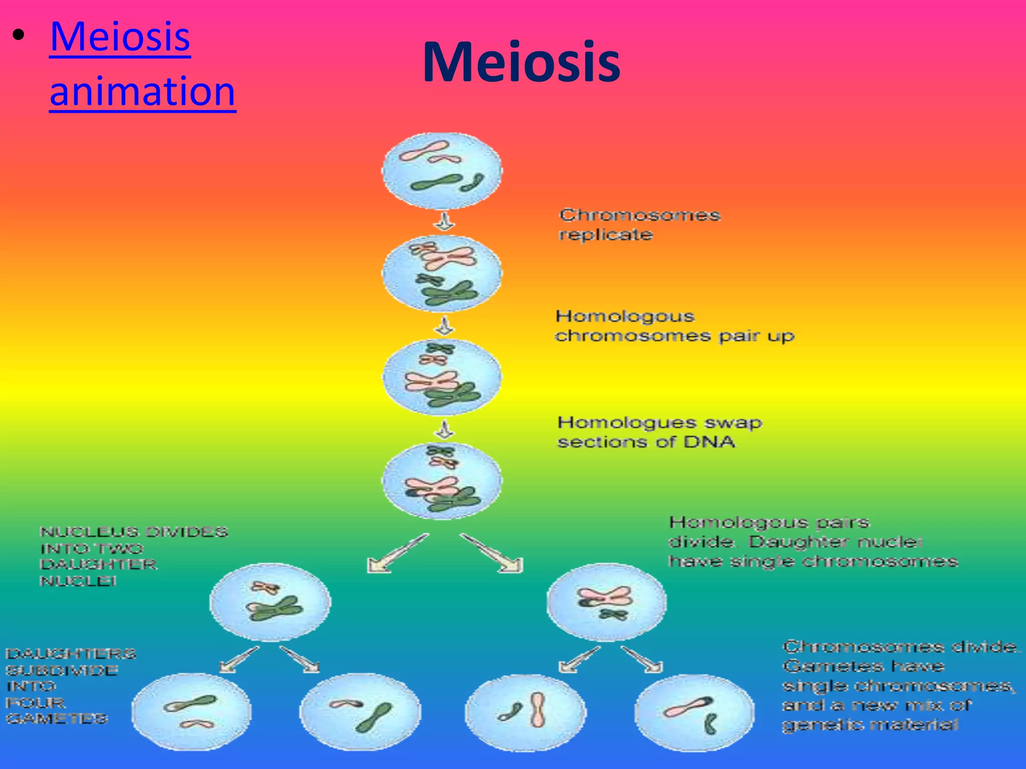 Section 3 the cell and inheritance | PPTX