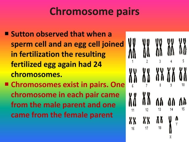 Section 3 the cell and inheritance | PPT