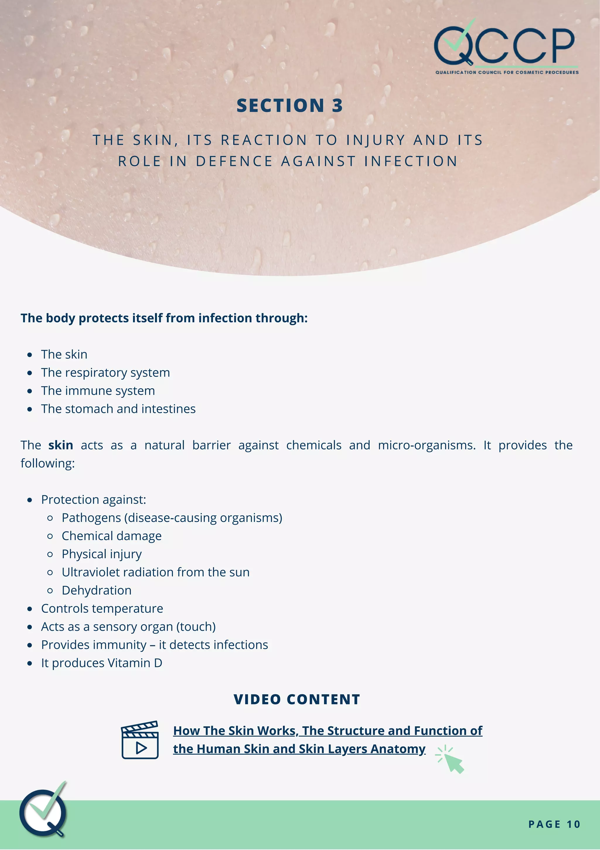 Section 3 - The skin - Its reaction to injury and its role in defence ...