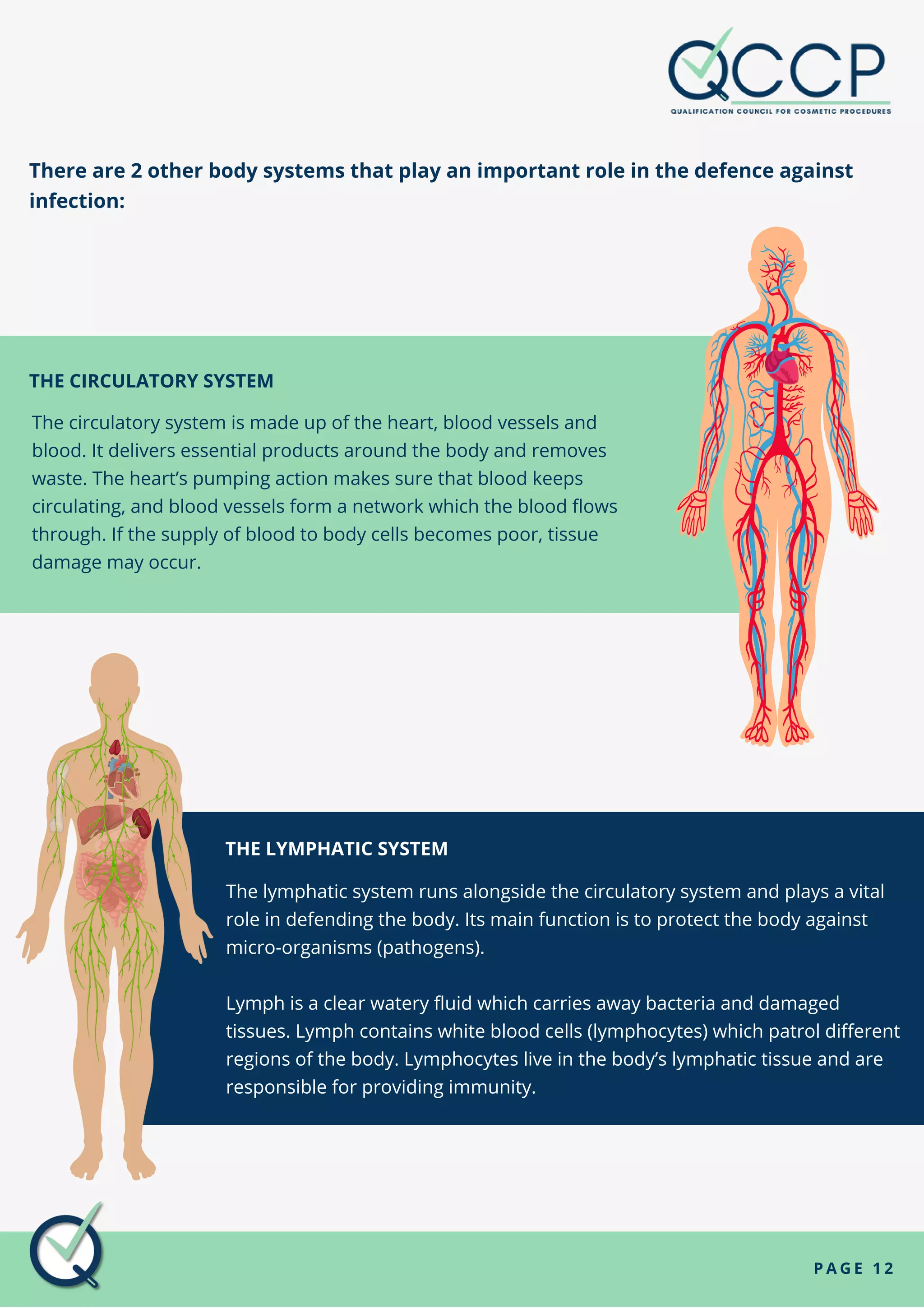 Section 3 - The skin - Its reaction to injury and its role in defence ...