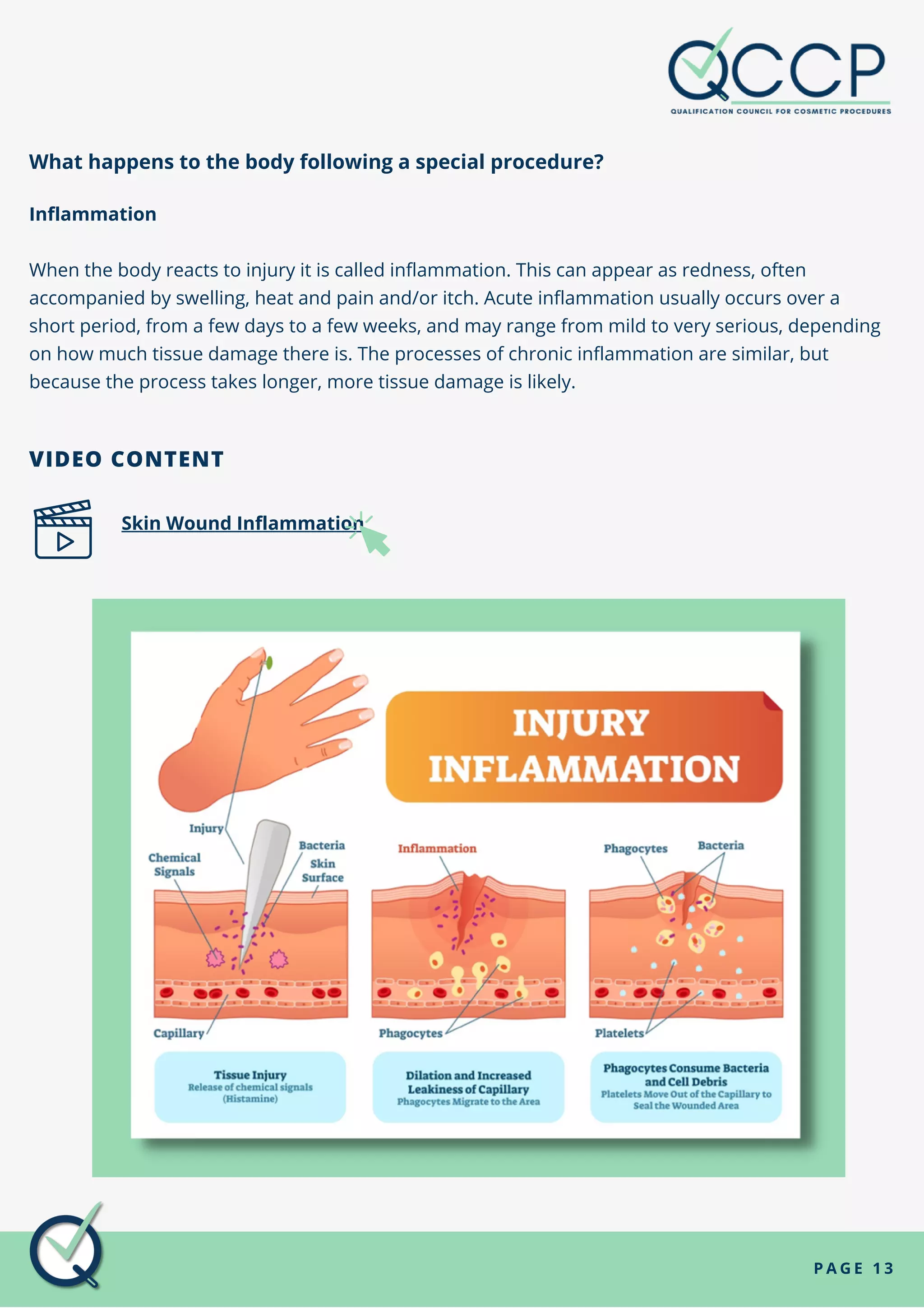 Section 3 - The skin - Its reaction to injury and its role in defence ...