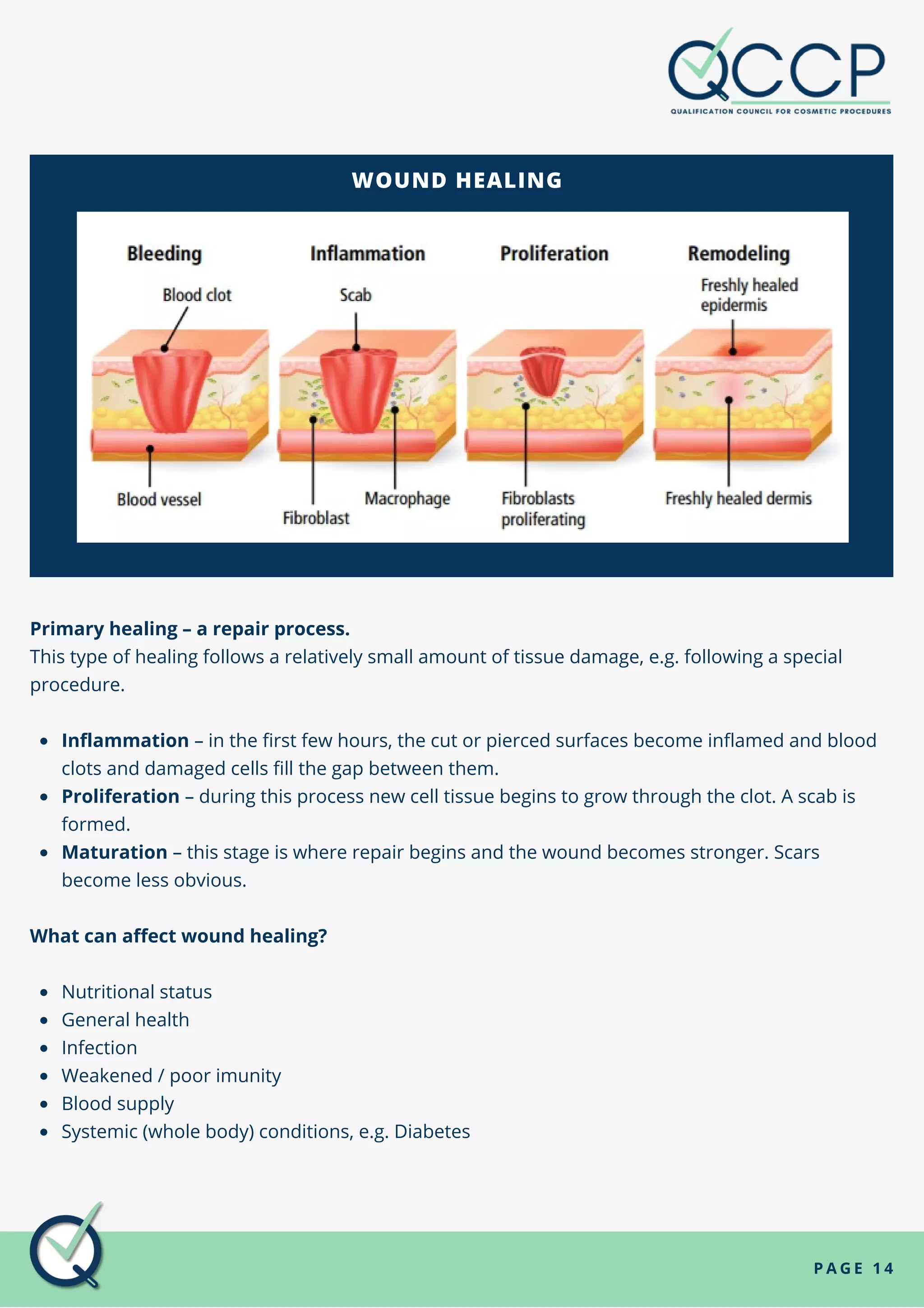 Section 3 - The skin - Its reaction to injury and its role in defence ...