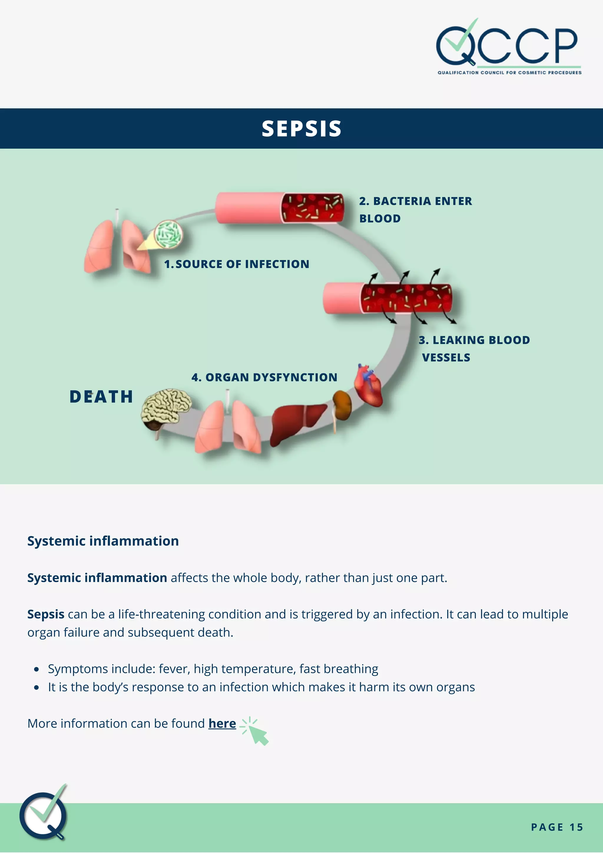 Section 3 - The skin - Its reaction to injury and its role in defence ...