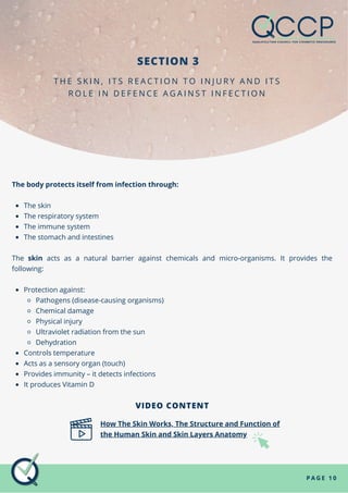Section 3 - The skin - Its reaction to injury and its role in defence ...