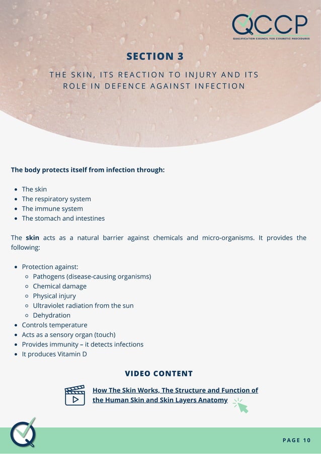 Section 3 - The skin - Its reaction to injury and its role in defence ...