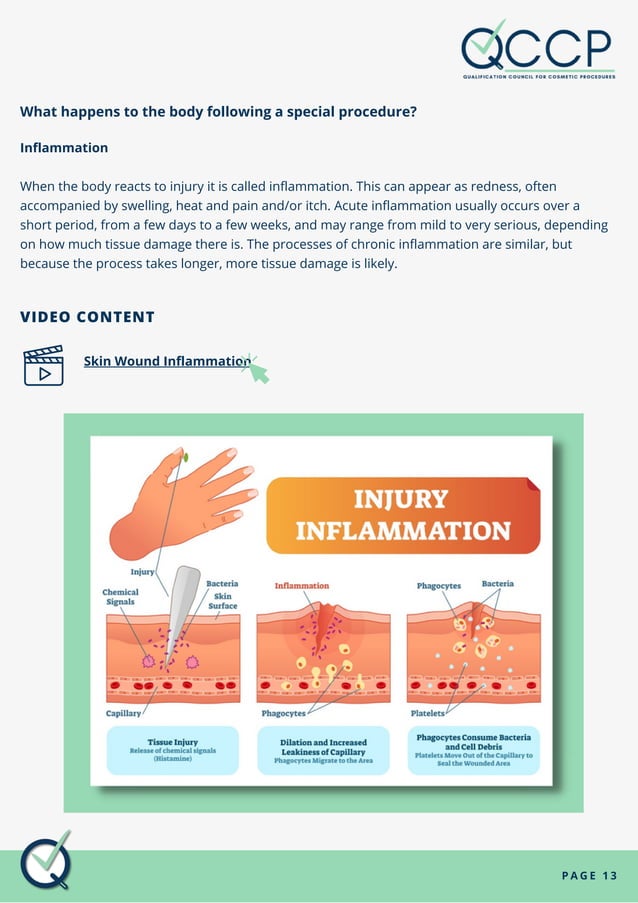 Section 3 - The skin - Its reaction to injury and its role in defence ...