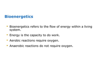 Section+3+bioenergetics (1) | PPT