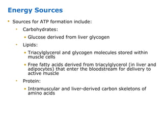 Section+3+bioenergetics (1) | PPT