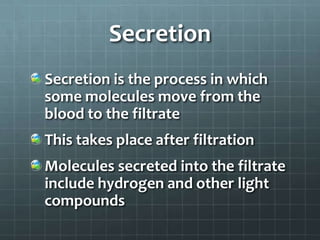 Excretory System Function | PPTX