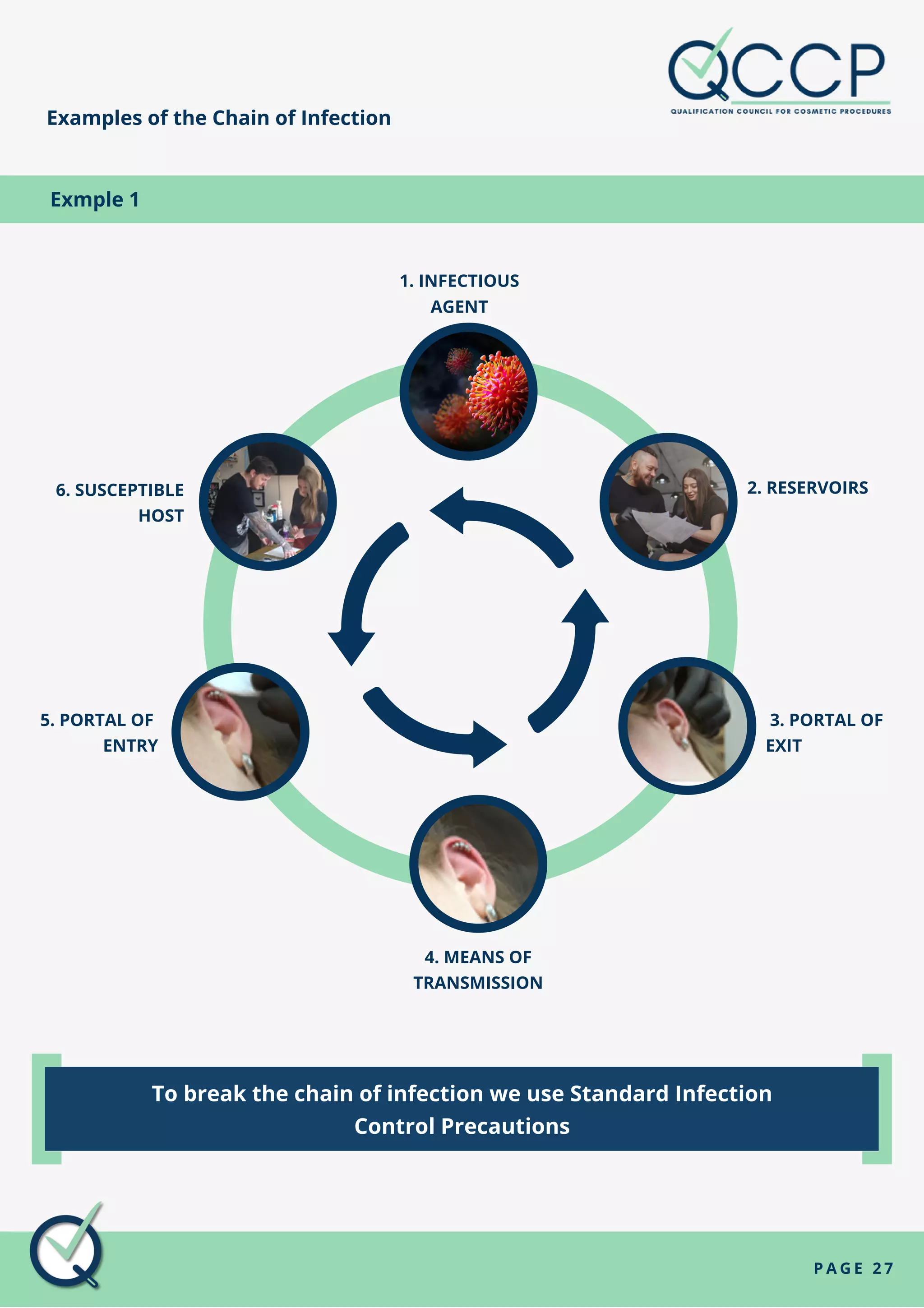 Section 5 The Chain of Infection.pdf