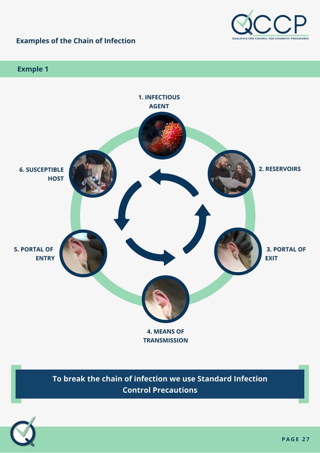 Section 5 The Chain of Infection.pdf