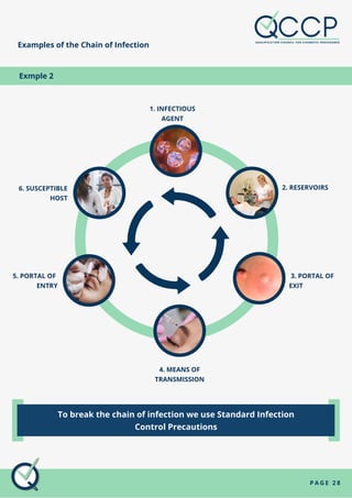 Section 5 The Chain of Infection.pdf