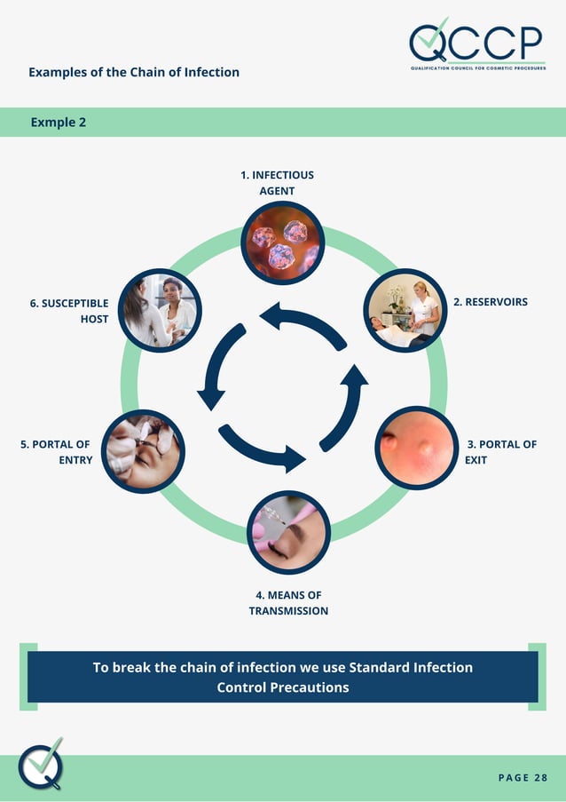 Section 5 The Chain of Infection.pdf
