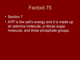 Section 7 - Cell Energy | PPT