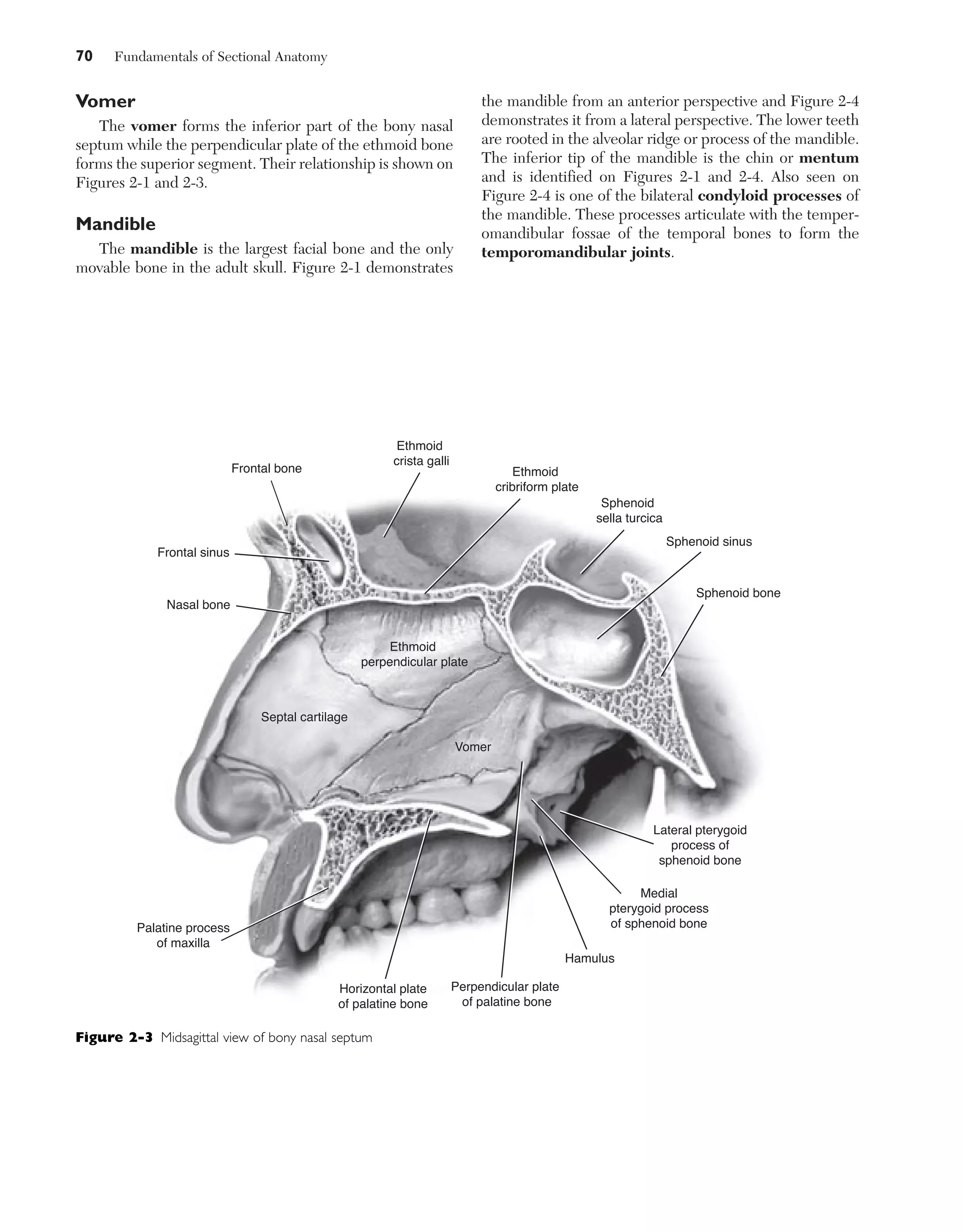 Sectional anatomy | PDF | Bone and Joint Conditions | Diseases and ...