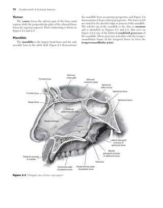 Sectional anatomy | PDF