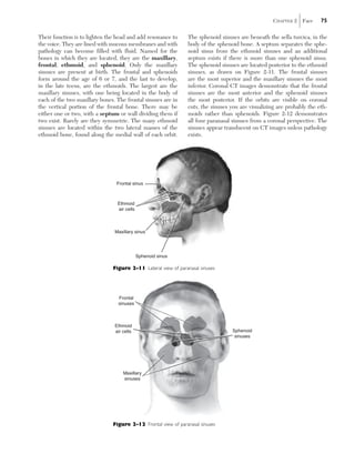 Sectional anatomy | PDF