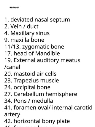 SECTIONAL ANATOMY -ASSESSMERNT 2019mi10.pptx