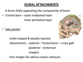 Imaging sectional anatomy of brain part 1 | PPTX