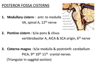 Imaging sectional anatomy of brain part 1 | PPTX