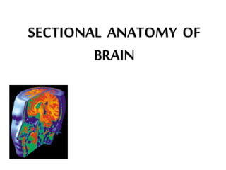 Sectional anatomy of brain part 1 | PPTX