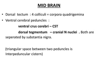 Sectional anatomy of brain part 2 | PPTX