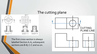Sectional Standars and Conventions | PPTX