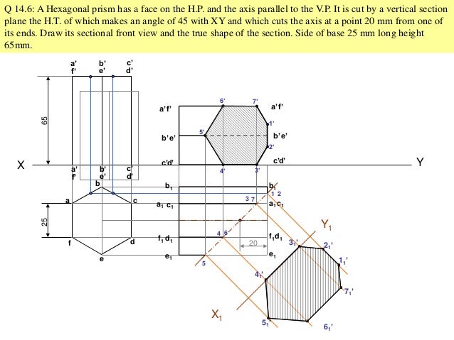 Section and development