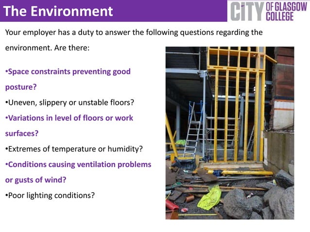 Safe Manual Handling in the Workplace | PPTX | Physical Therapy | Wellness
