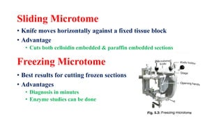 Section Cutting | PPTX