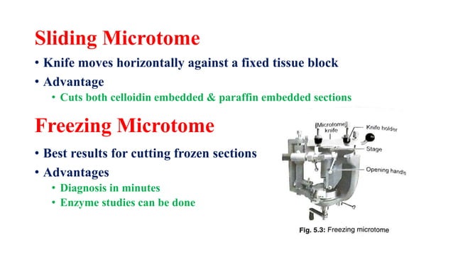 Section Cutting | PPTX