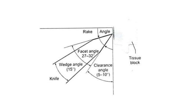 Section Cutting | PPTX