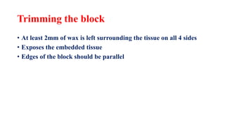 Section Cutting | PPTX