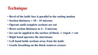 Section Cutting | PPTX