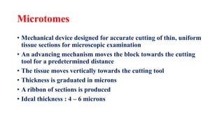 Section Cutting | PPTX