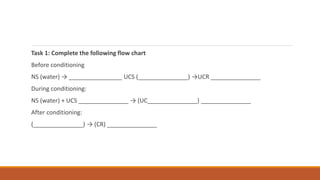 Section d revision | PPTX